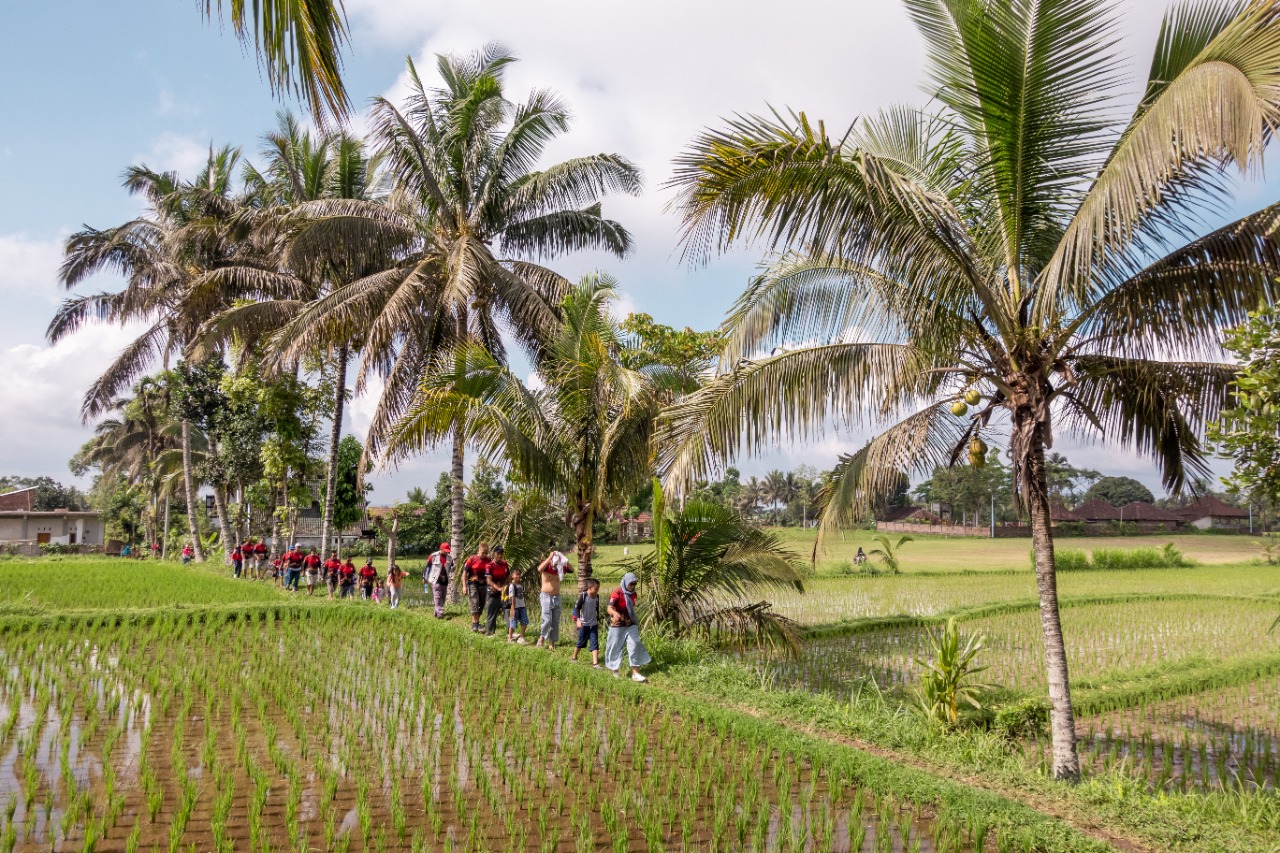 Hiking 2 days Tetebatu trip